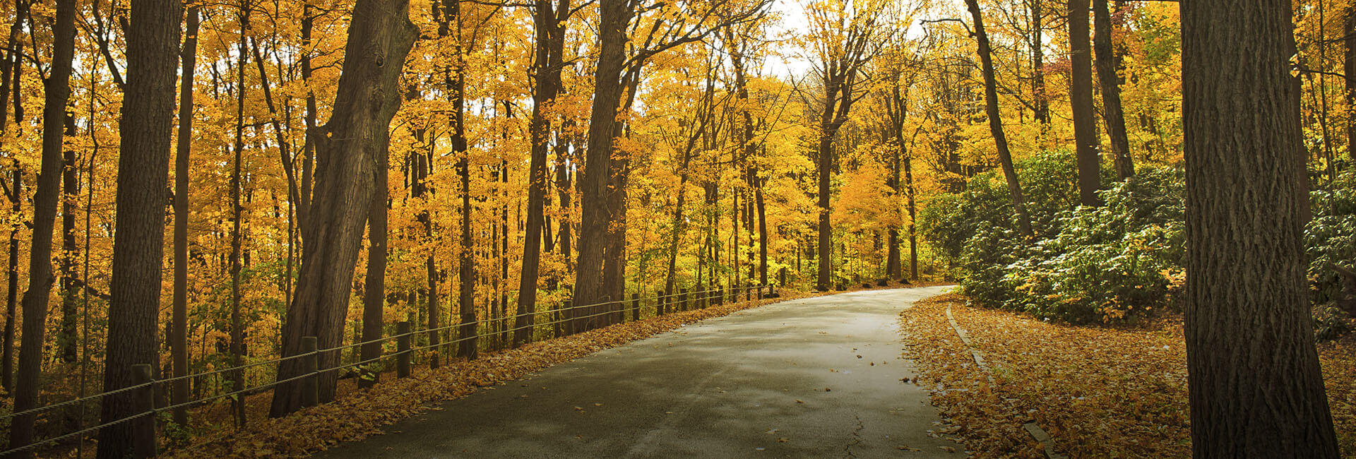 Driving Routes - Clearfield County